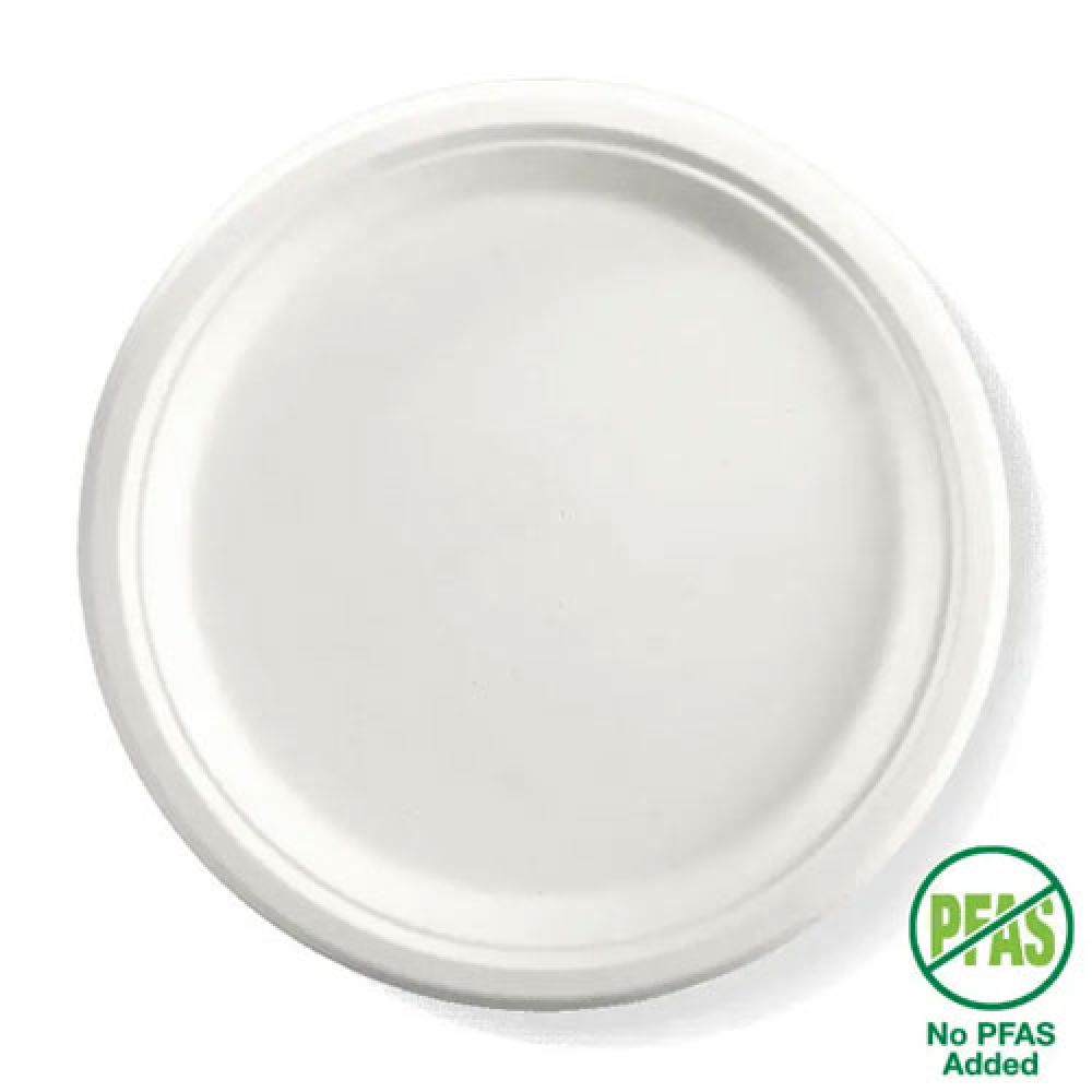 Environmental Friendly Tableware : White 25cm 10 inch Round ...