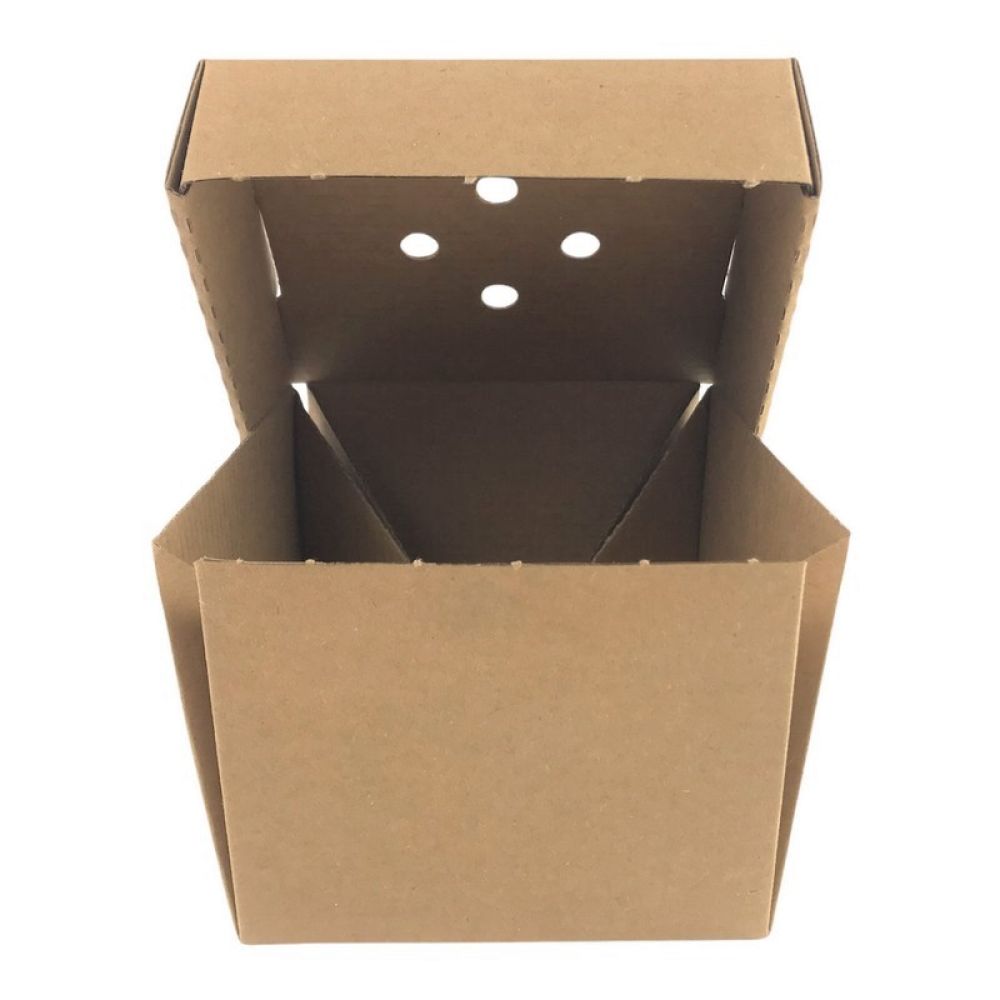 Takeaway Food : Gourmet Burger Boxes Small - Box 100