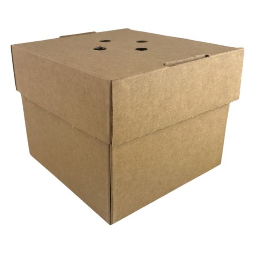 Magnum Packaging (NE) Ltd