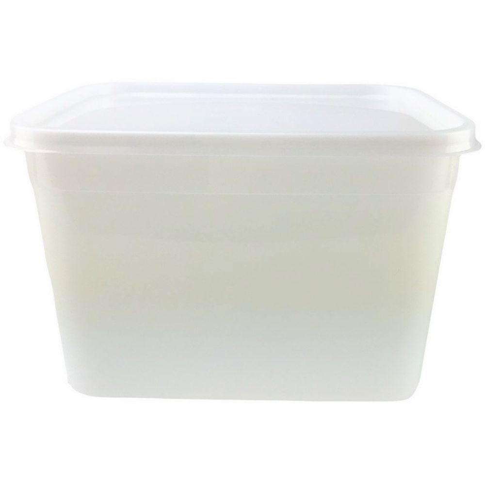 Food Containers : Rectangular ice Cream Container with Lid ...
